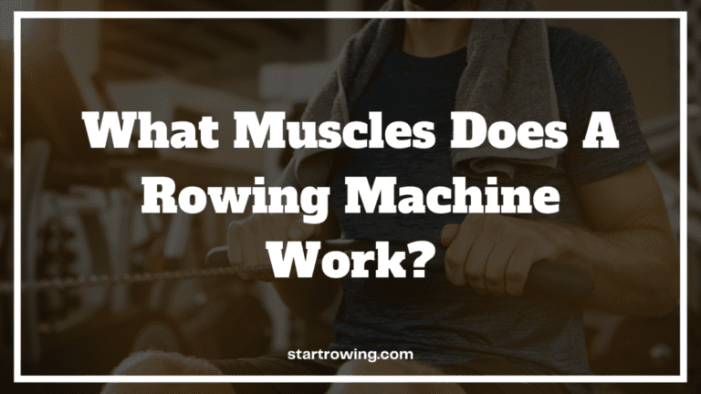 What Muscles Does A Rowing Machine Work?
